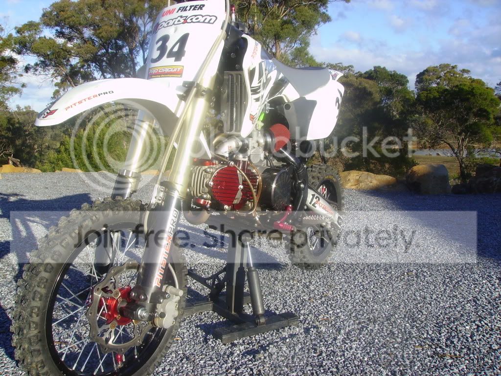 Pitster Pro LX | Mini Dirt Bikes & Pit Bikes Forum