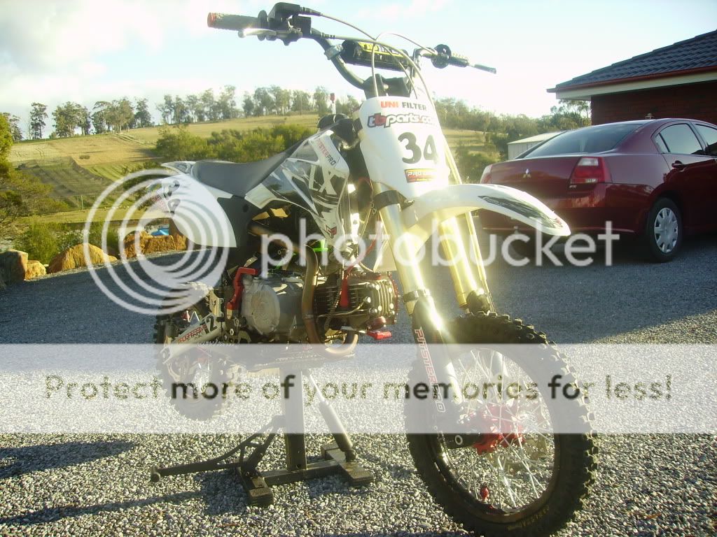 Pitster Pro LX | Mini Dirt Bikes & Pit Bikes Forum